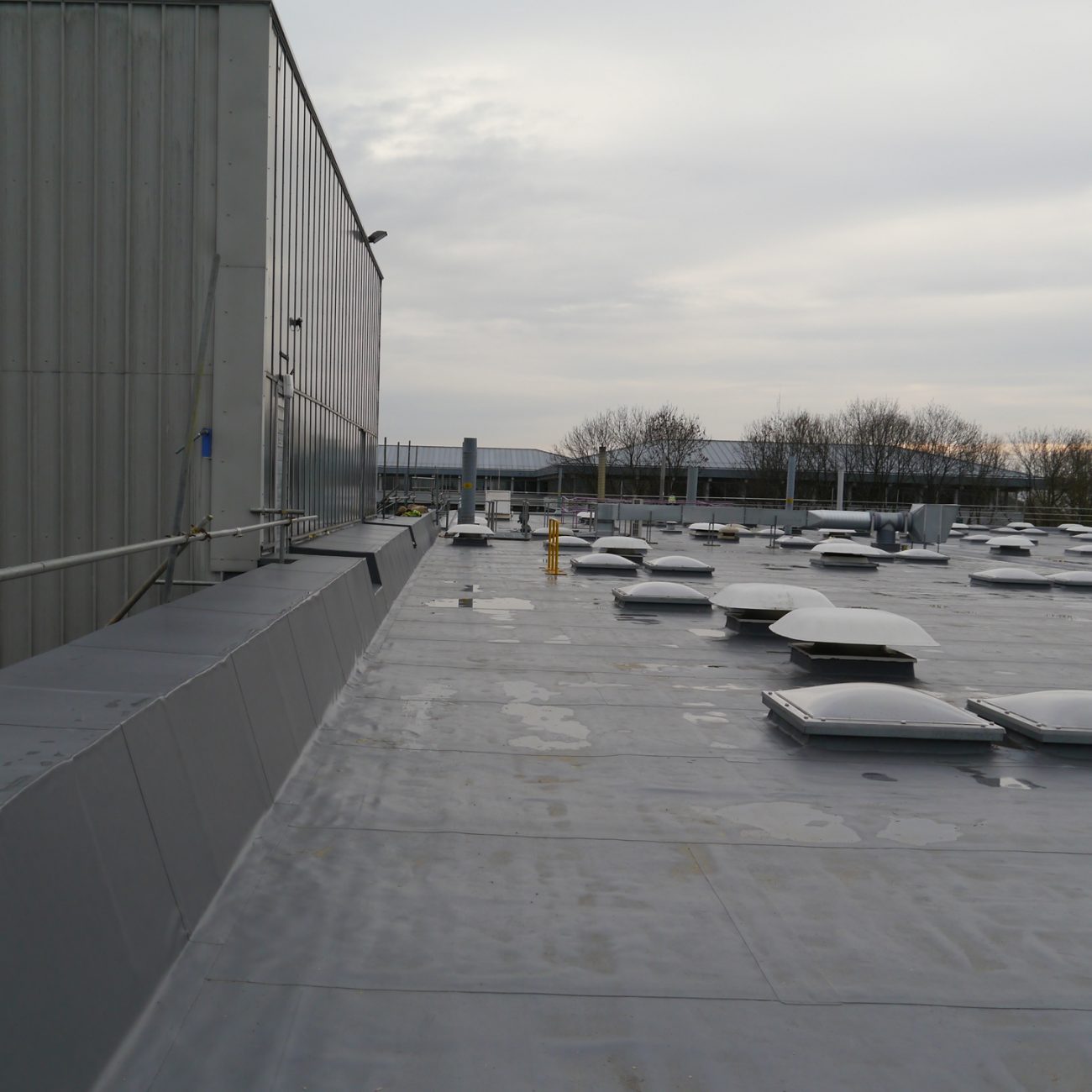 Single Ply Membrane Devon - Alto Roofing & Cladding